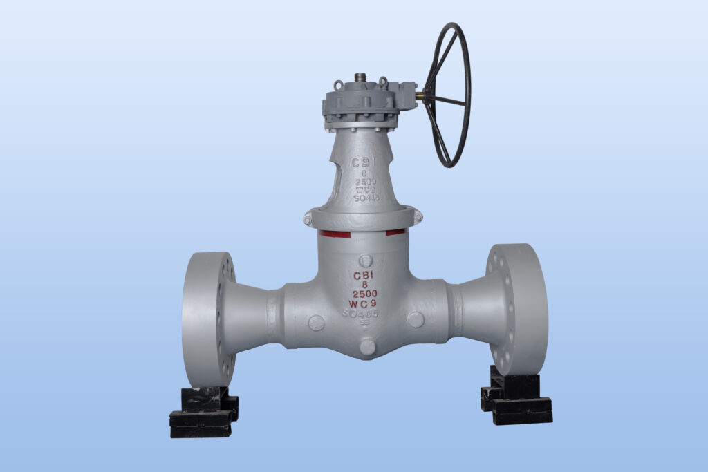 High Pressure Globe Valve – C-Bonetti