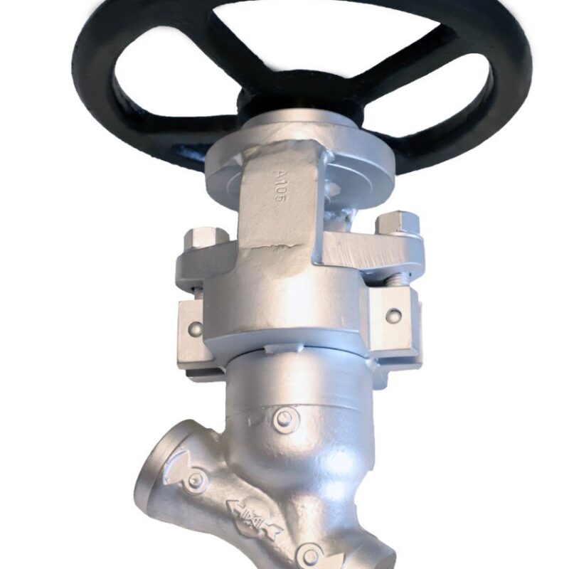 Globe Valve – C-Bonetti